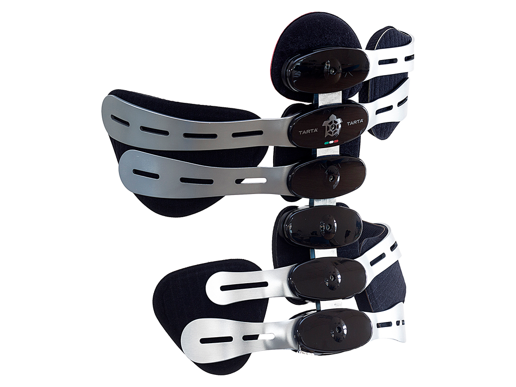 Tarta Wheelchair Backrest — Wheelchair Bearings